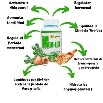 Maca Life- Lifehuni - Home